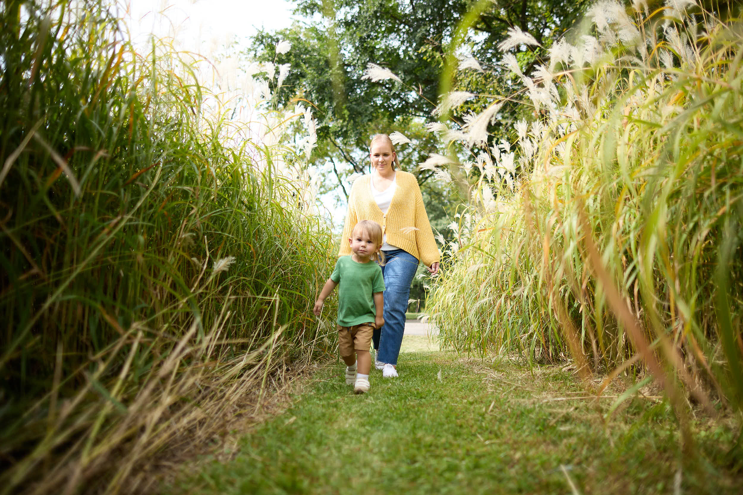 UI Health Care enters next phase in brand update | UI Health Care